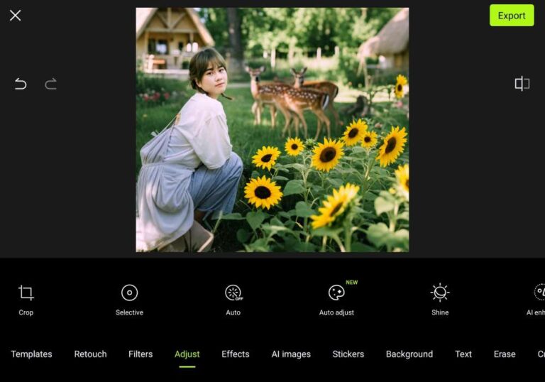 Hypic For PC Download (Windows/macOS) All Unlocked 2025